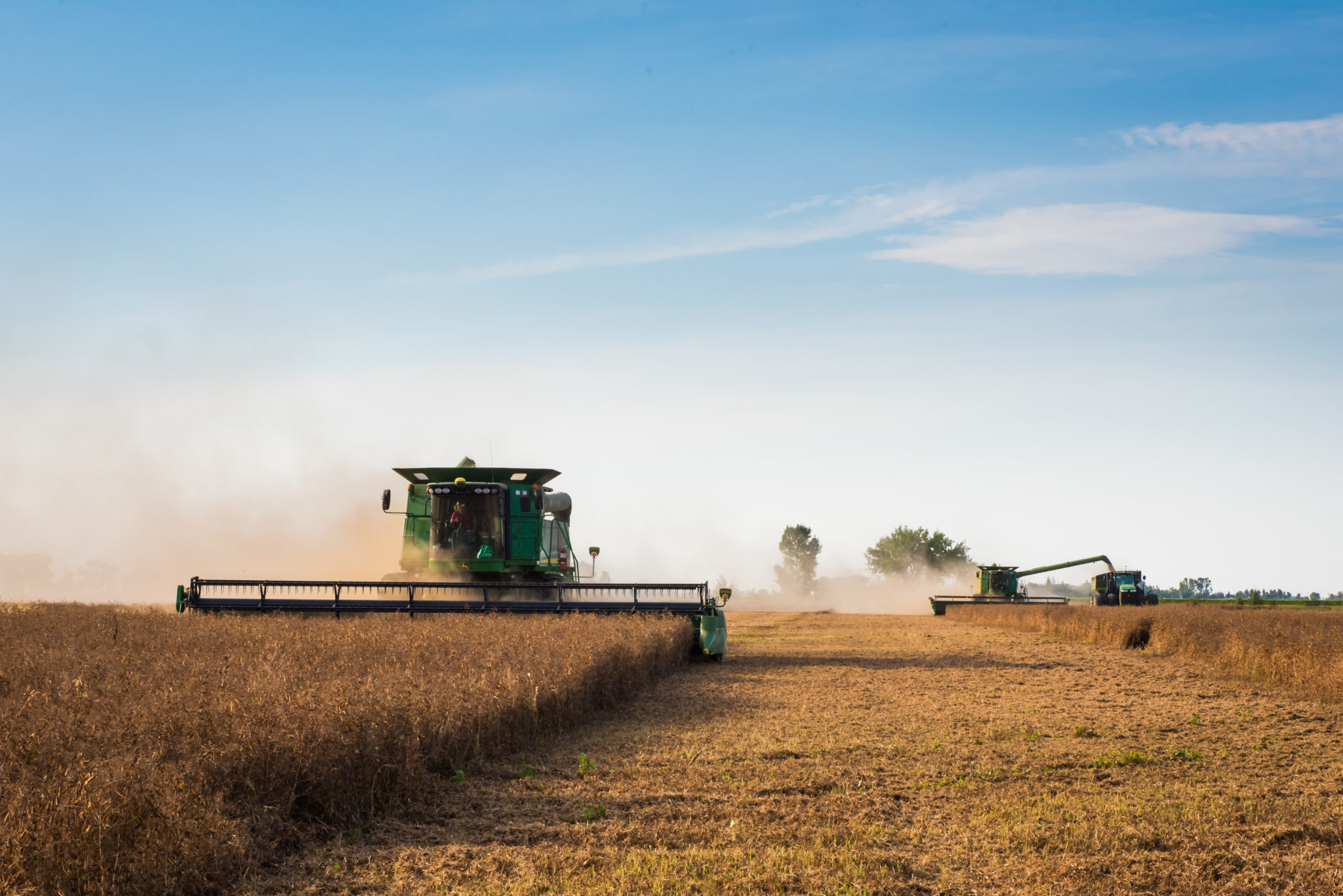 About Us – Alberta-British Columbia Seed Growers